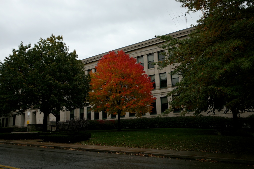 Schenley HS For Sale with tree – Ruth E. Hendricks Photography
