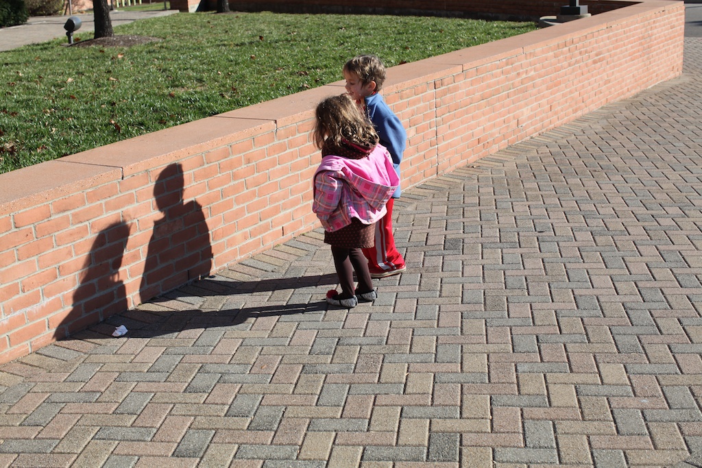 Shadow Play – Ruth E. Hendricks