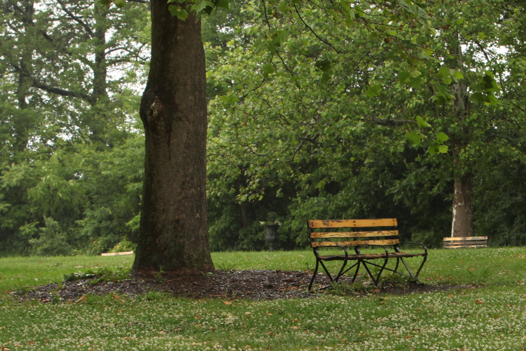 park bench – Ruth E. Hendricks