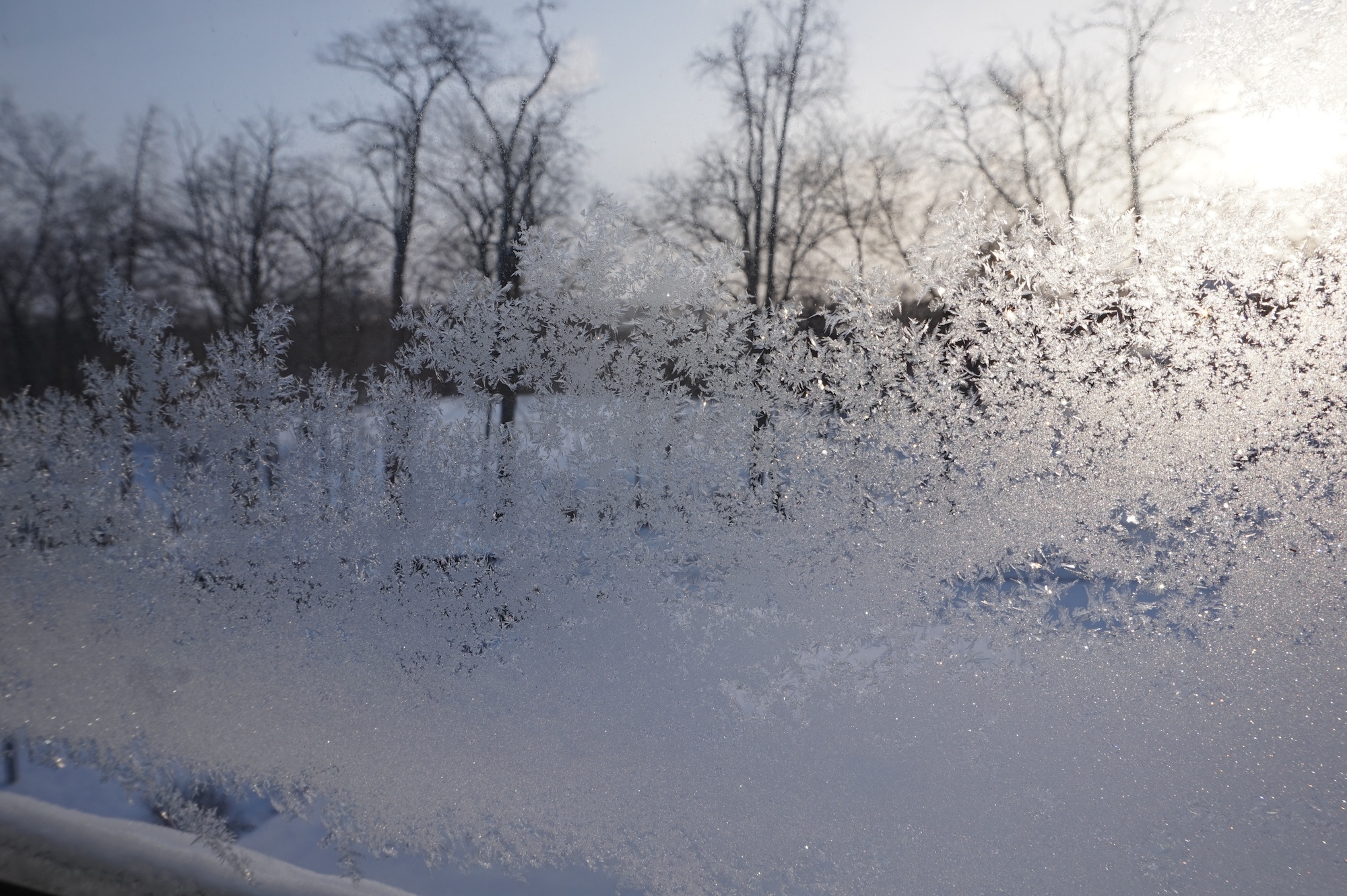 frost on window – Ruth E. Hendricks Photography