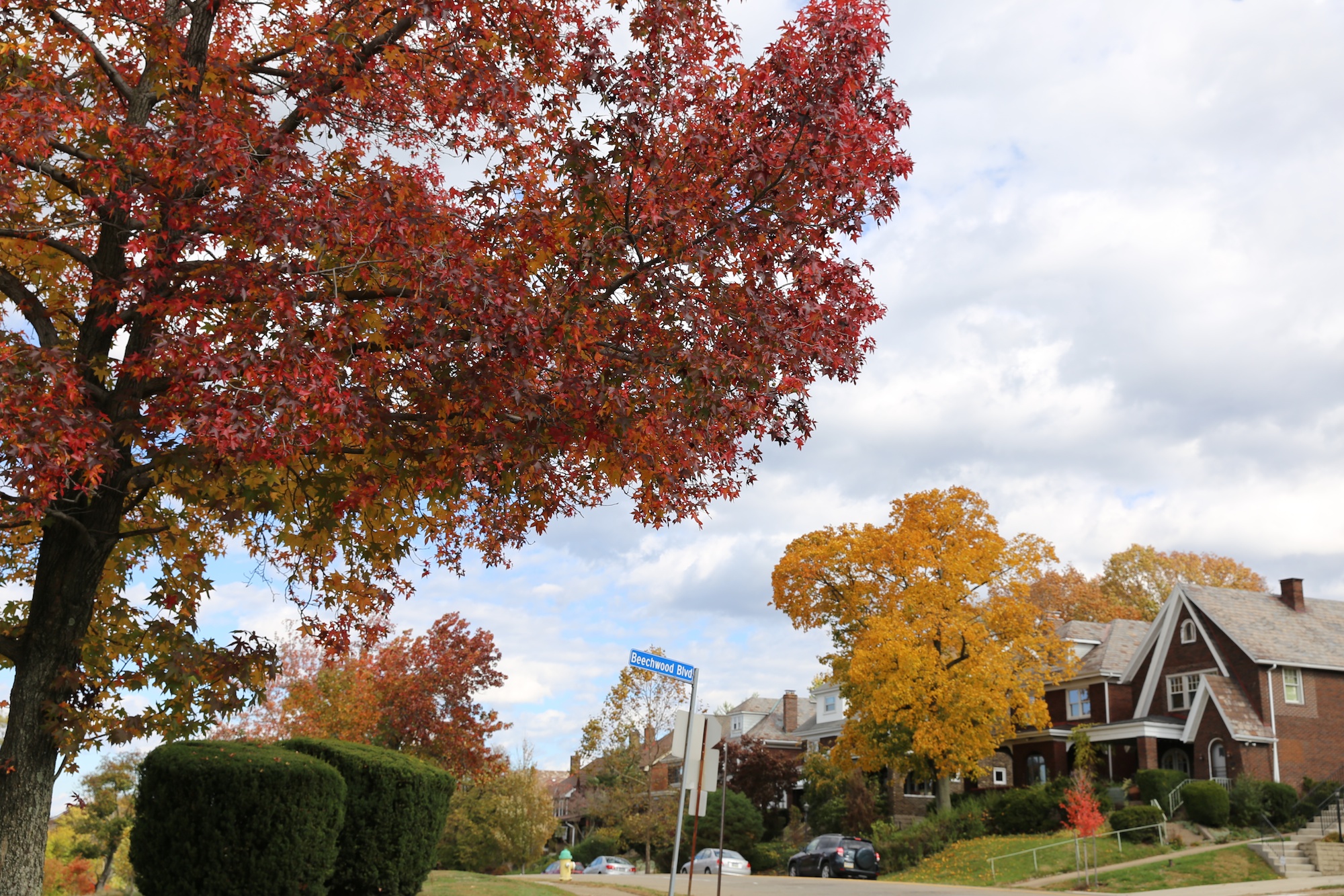 Pittsburgh Autumn in a Bright Light – Ruth E. Hendricks Photography