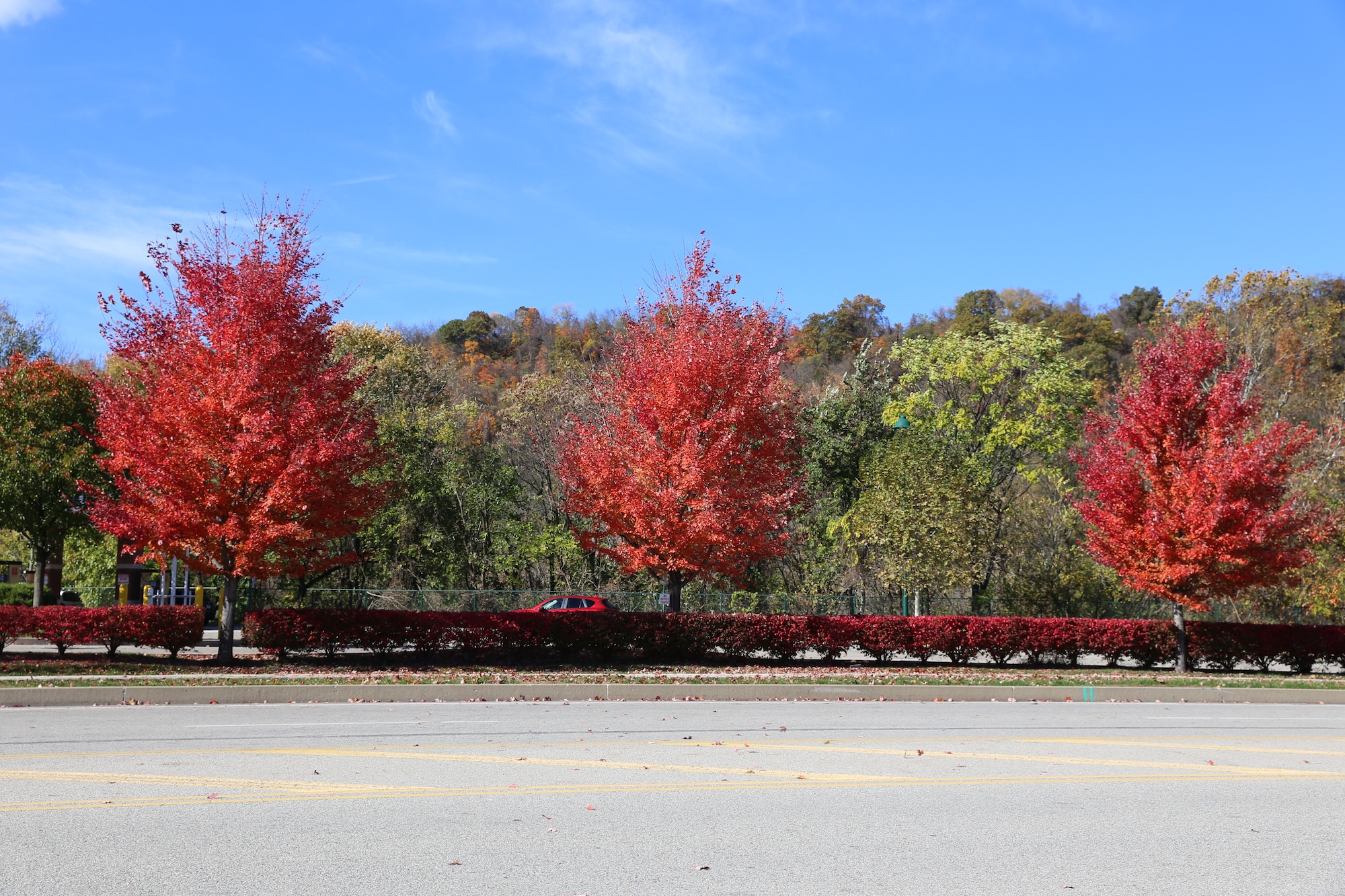 three red trees – Ruth E. Hendricks