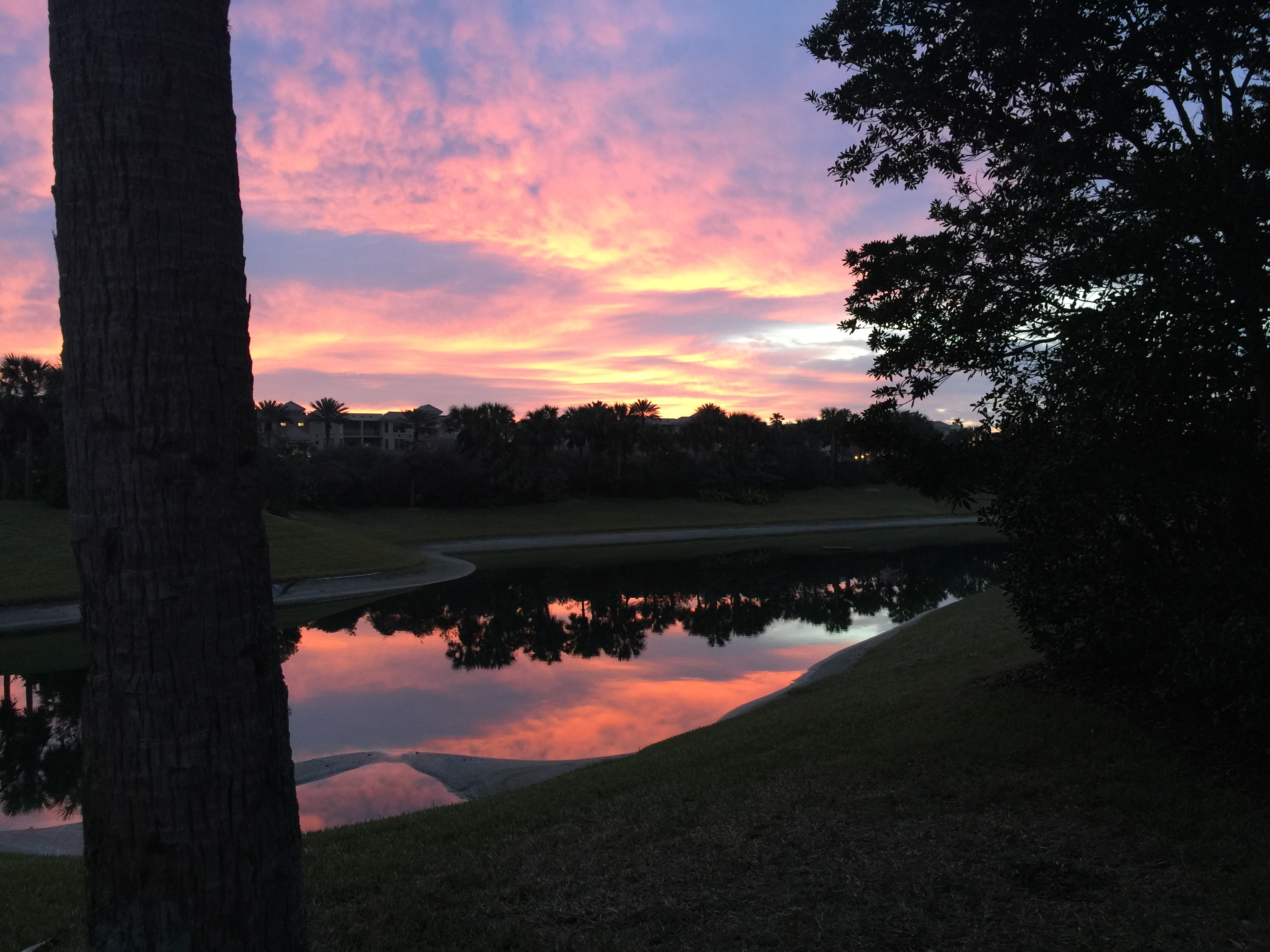 Florida Morning Light – Ruth E. Hendricks Photography