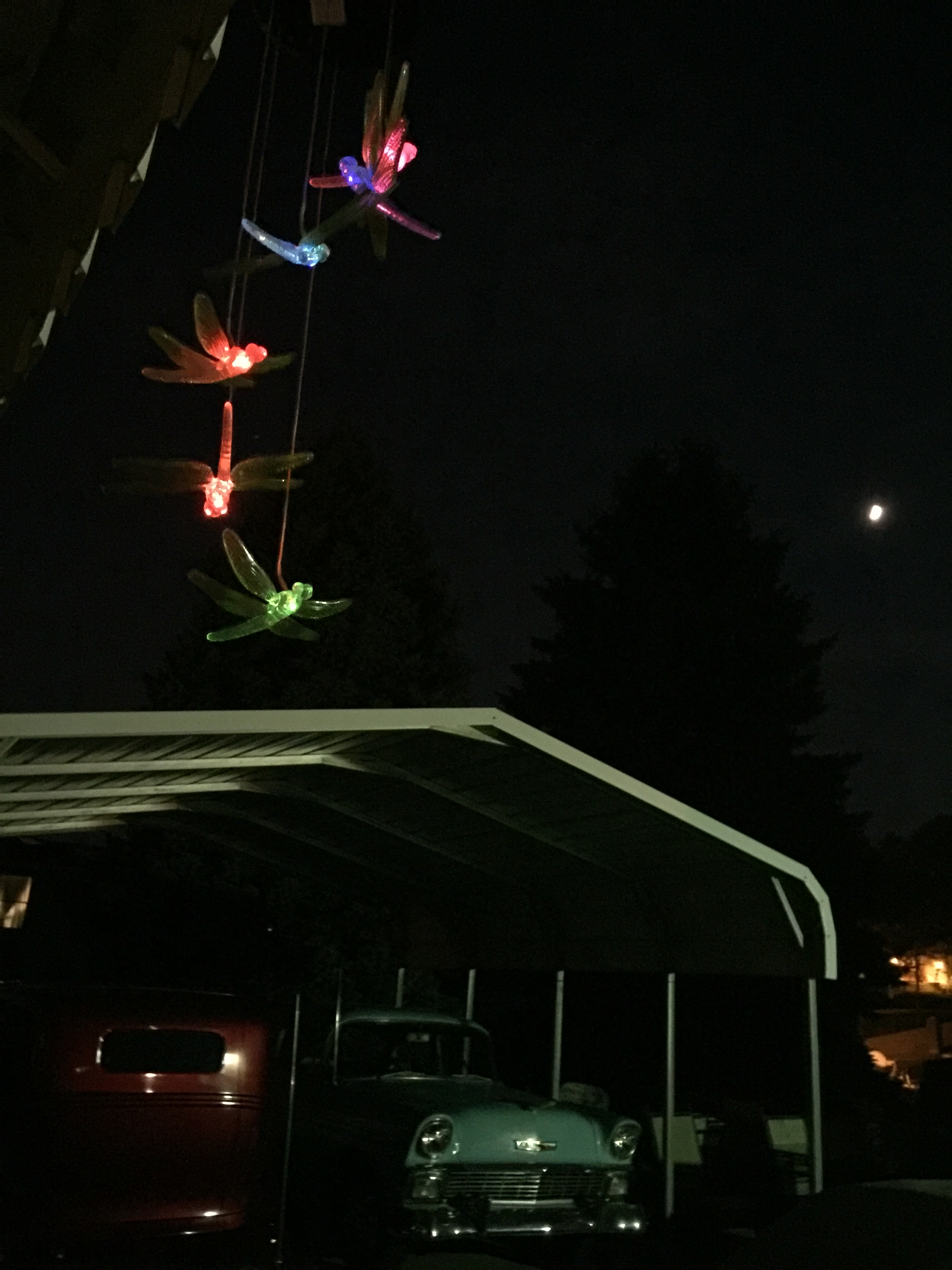 Solar Power Dragonflies and the Moon – Ruth E. Hendricks Photography