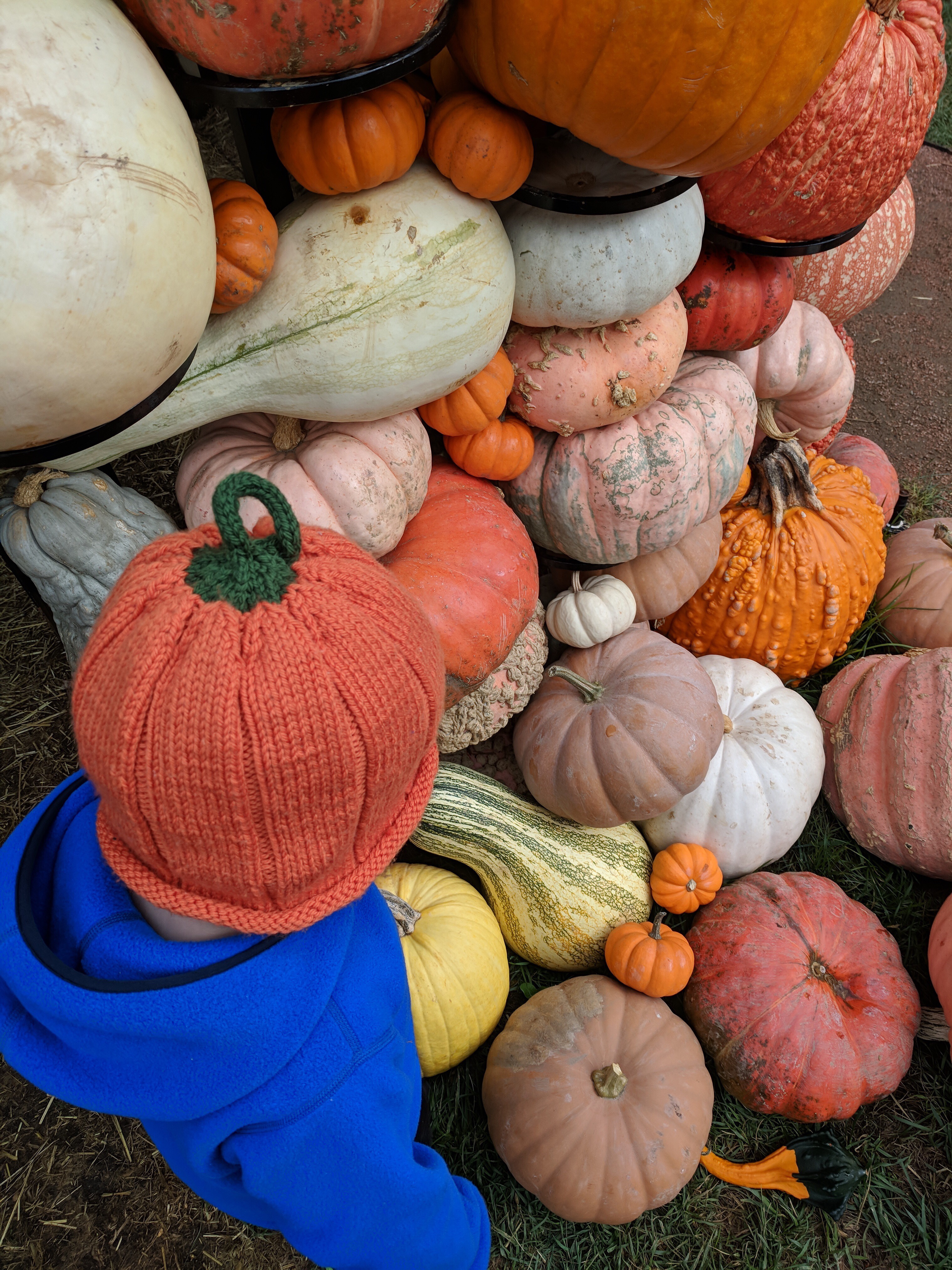 Pumpkin Season- Guest Blog – Ruth E. Hendricks Photography