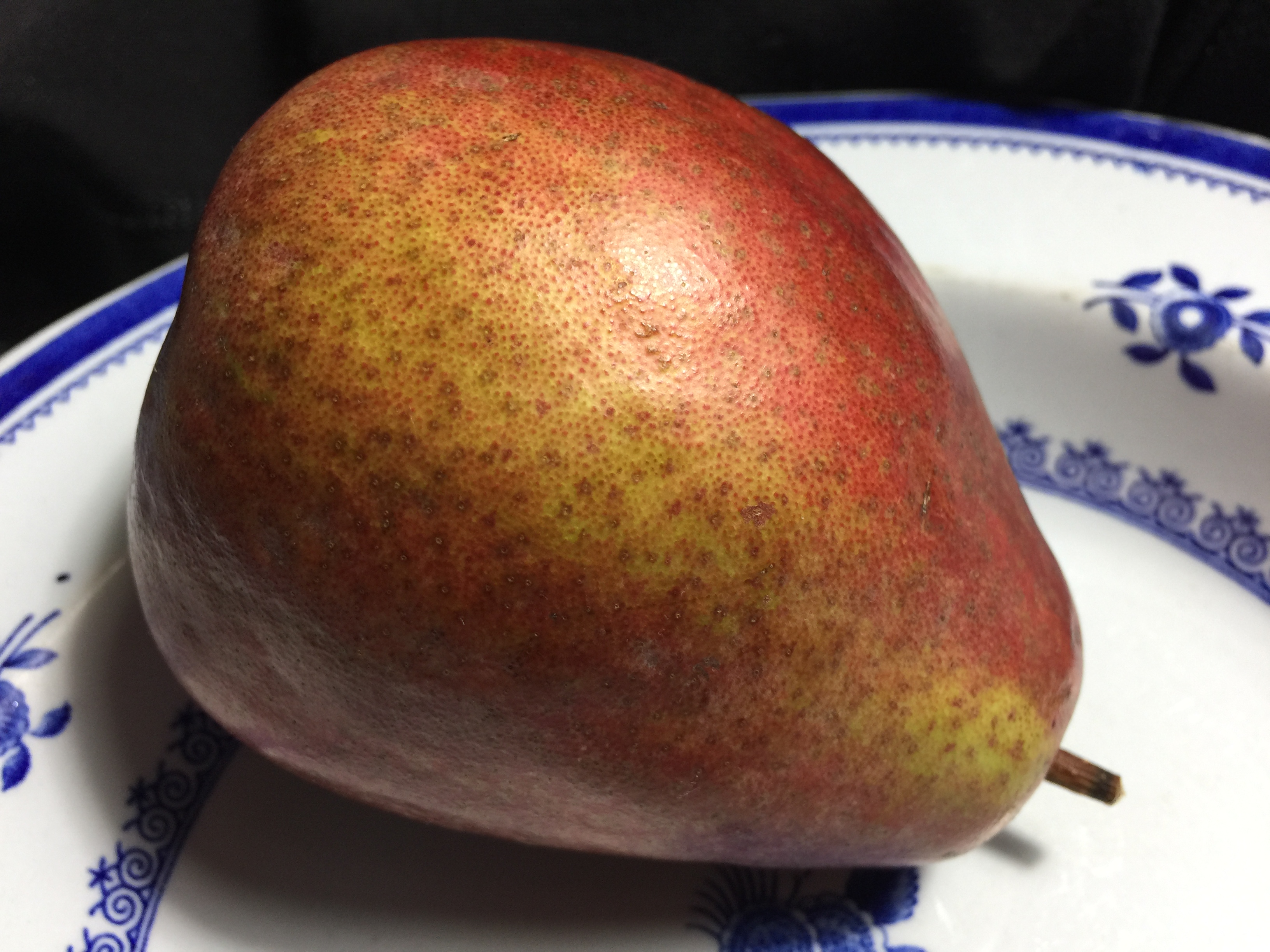 Red Pear – Ruth E. Hendricks Photography