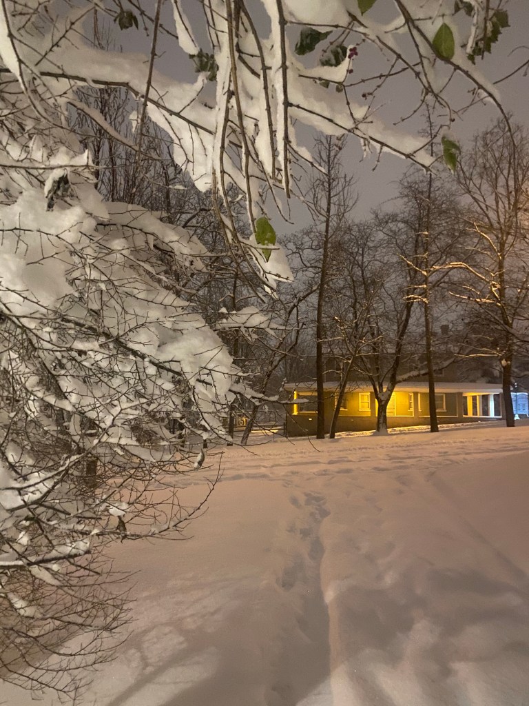 Quiet Night – Ruth E. Hendricks