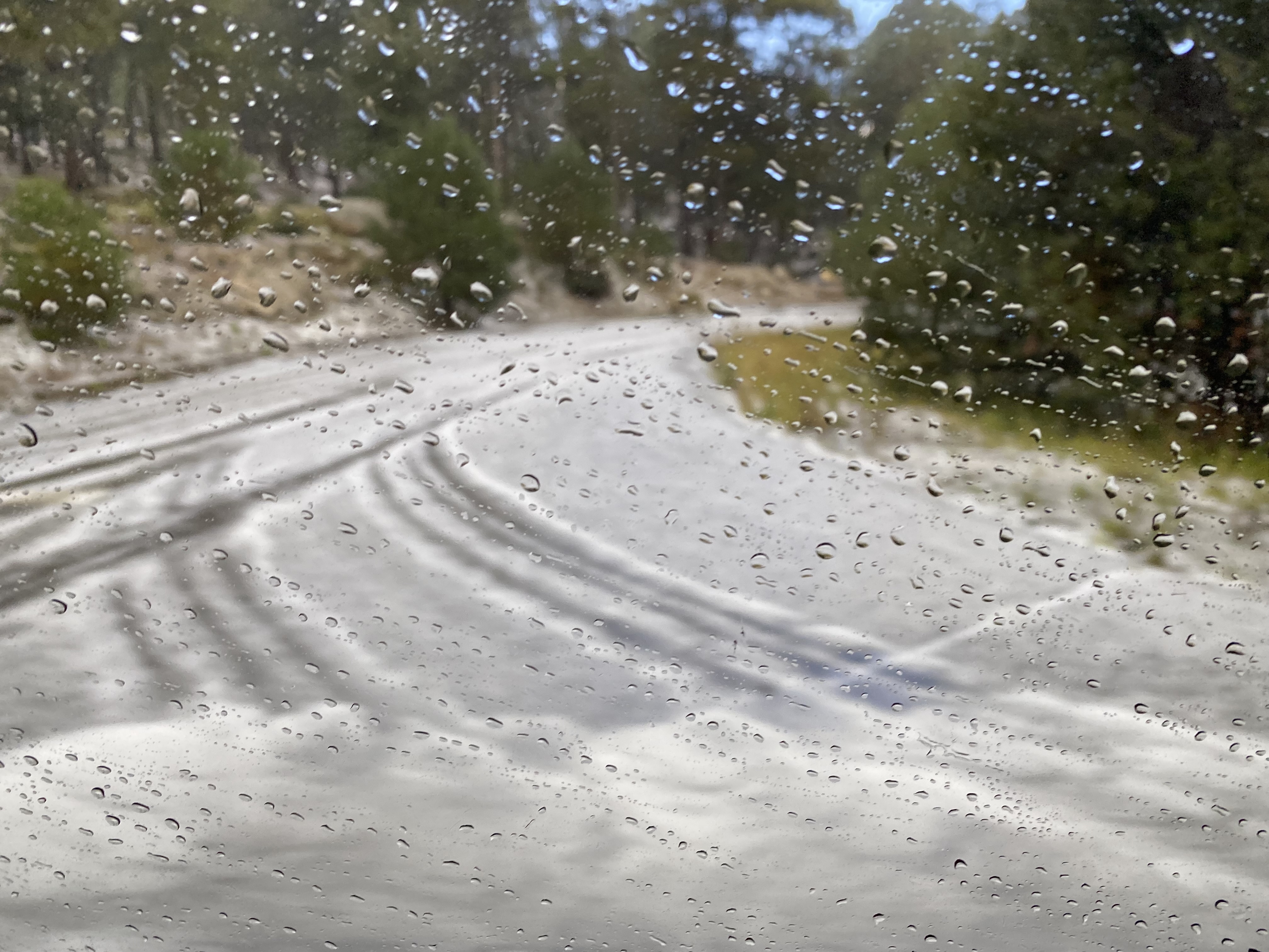 Hail on Mt. Lemmon, Coronado National Forest – Ruth E. Hendricks