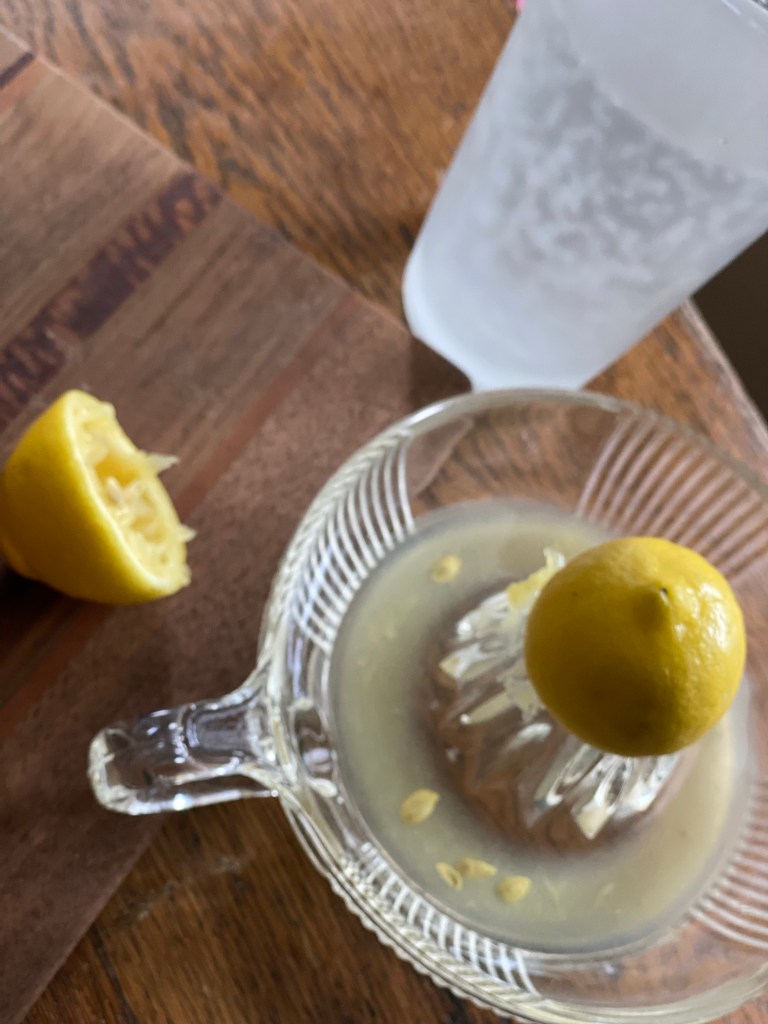 Lemons in Winter – Ruth E. Hendricks Photography