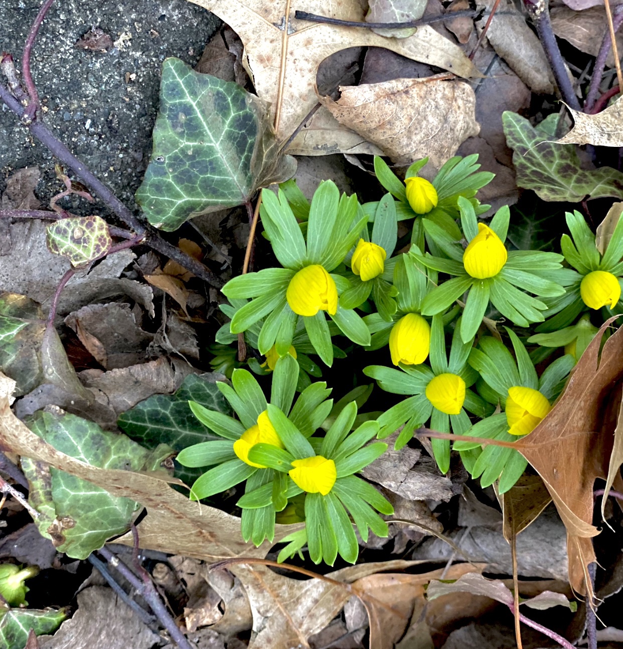 Spring Signs – Ruth E. Hendricks Photography