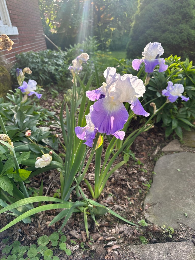 Silent Sunday – Ruth E. Hendricks