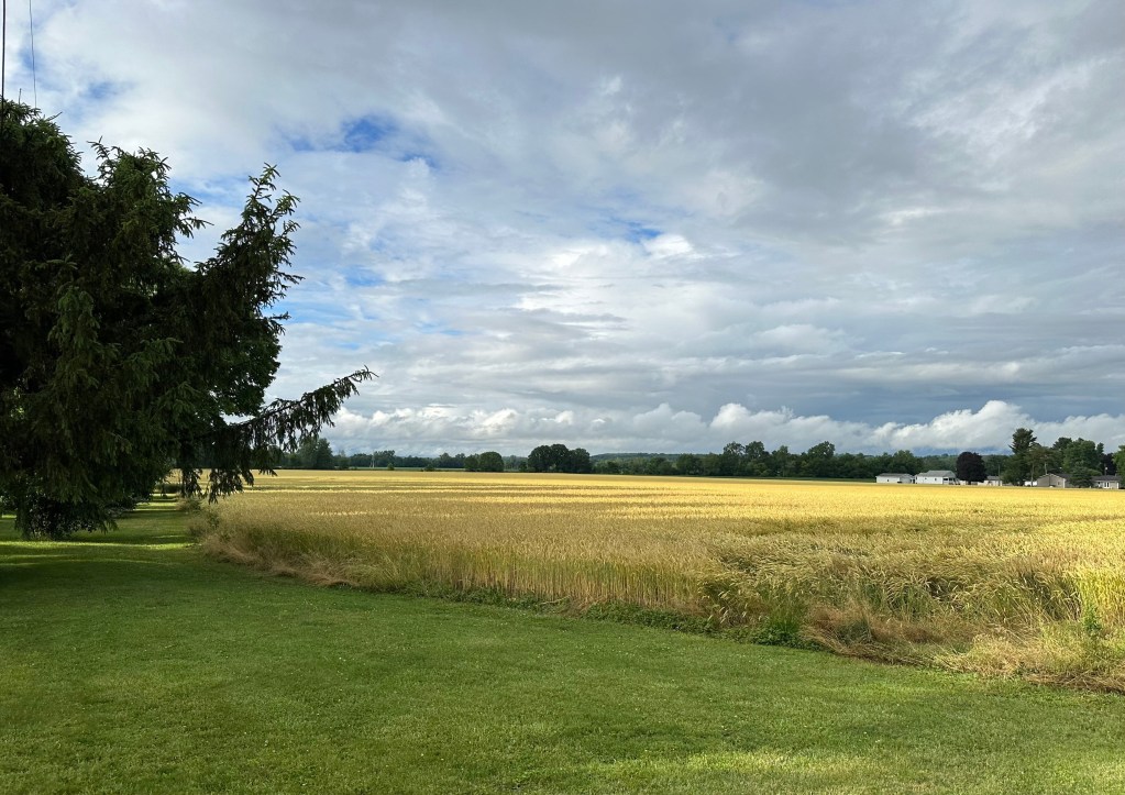 Ohio Landscape – Ruth E. Hendricks