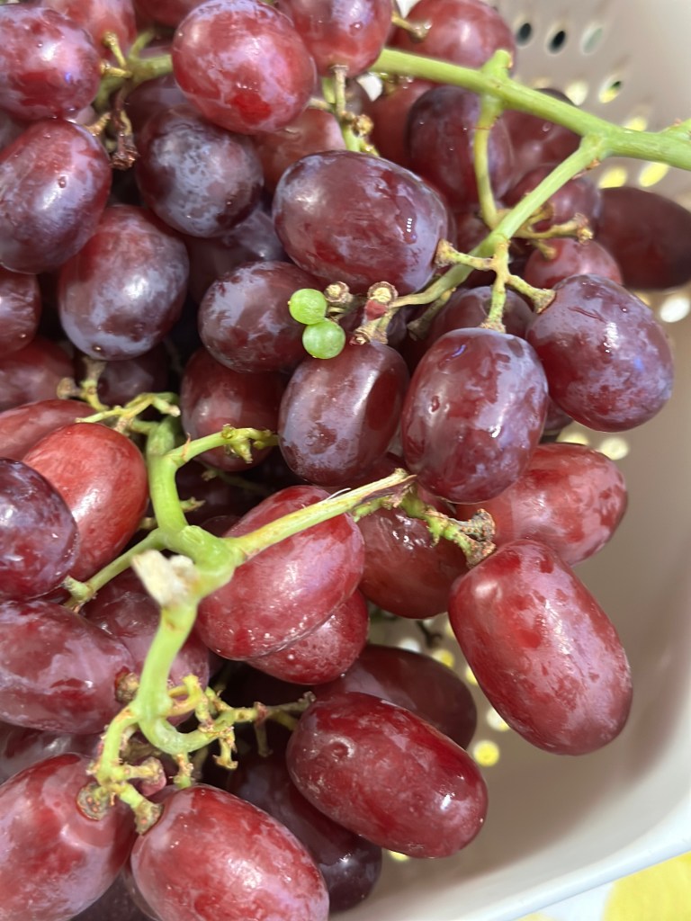 Seedless Red Grapes – Ruth E. Hendricks