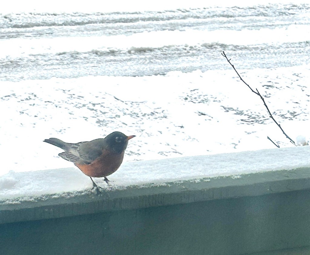 Silent Sunday – Ruth E. Hendricks Photography