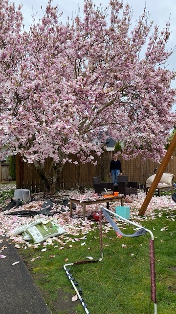 Magnificent Magnolia – Ruth E. Hendricks