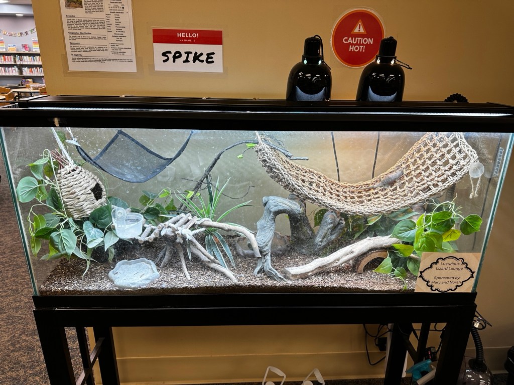 Crafton Public Library a Mini-Tour – Ruth E. Hendricks Photography