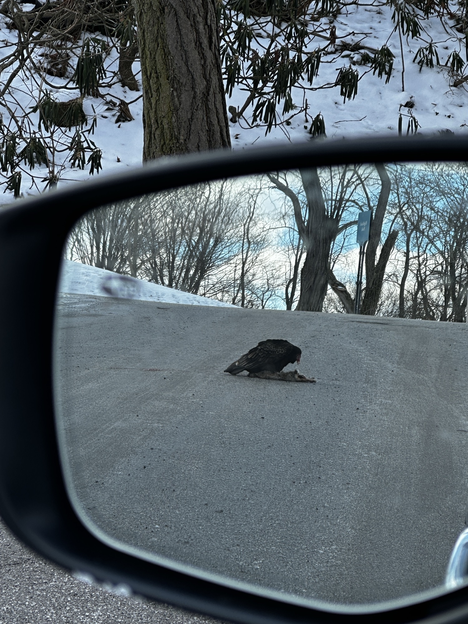 Warning: If you get squeamish, don’t look at today’s post – Ruth E ...