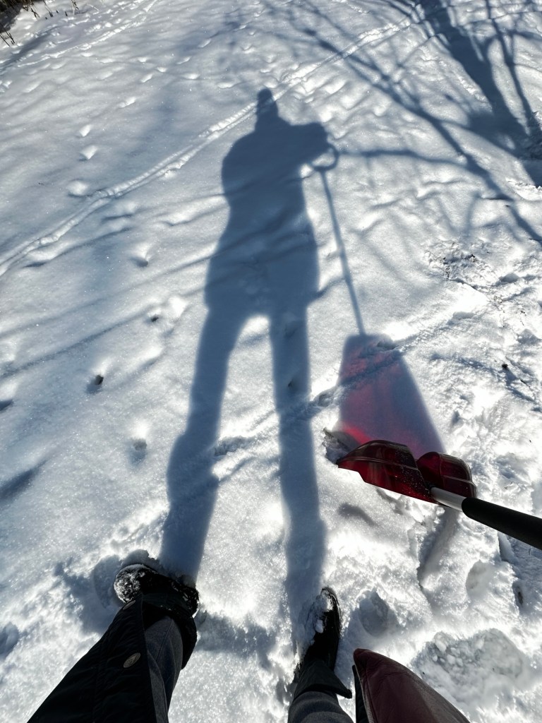 Snow Shoveler Shadow – Ruth E. Hendricks
