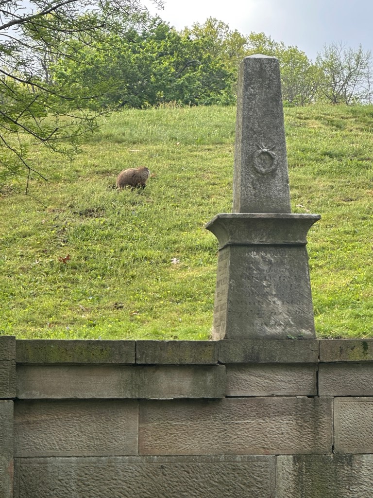 Tuesday’s Storm Was Intense – Ruth E. Hendricks