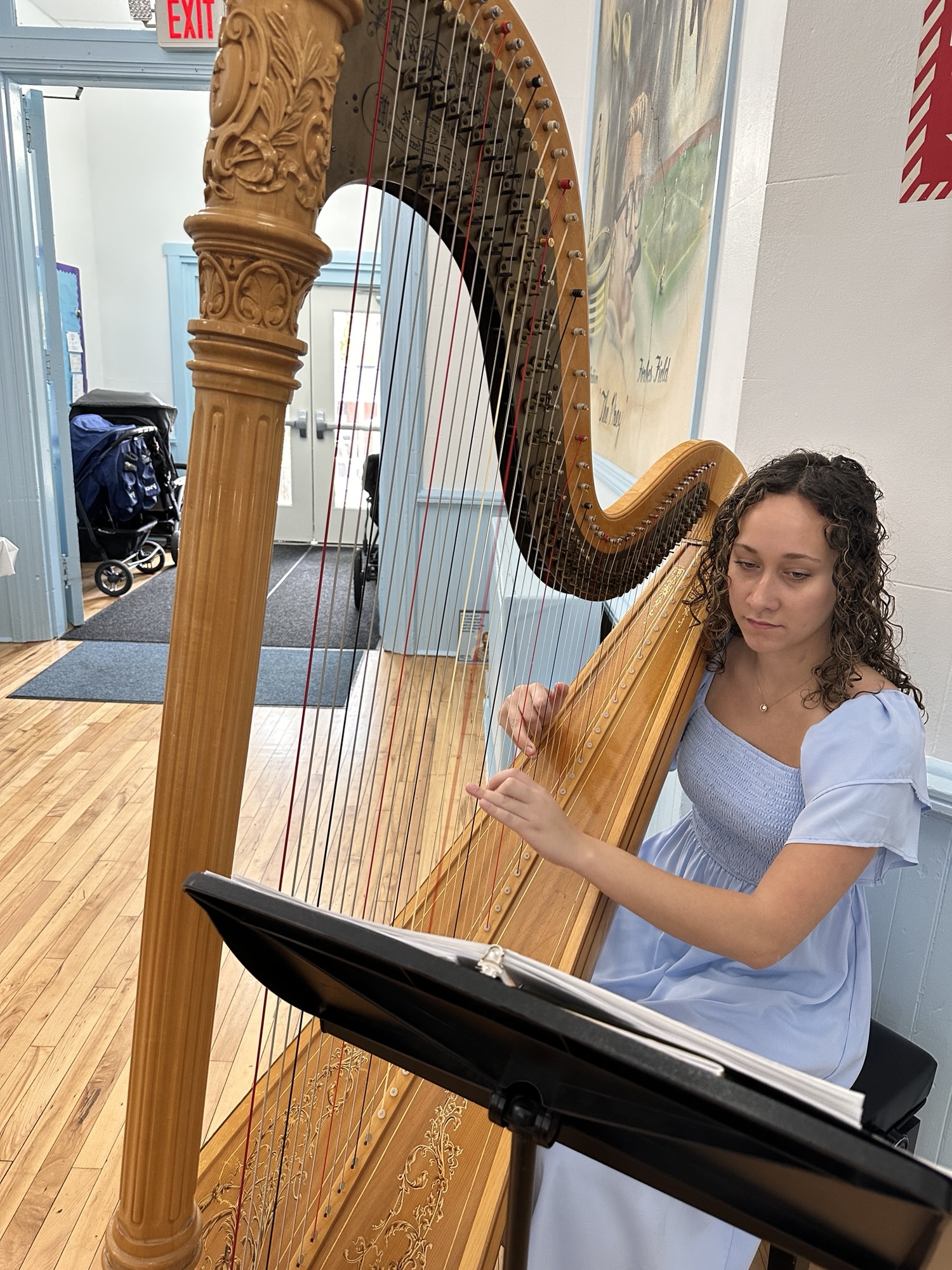 Harpist Juliana Matteo – Ruth E. Hendricks