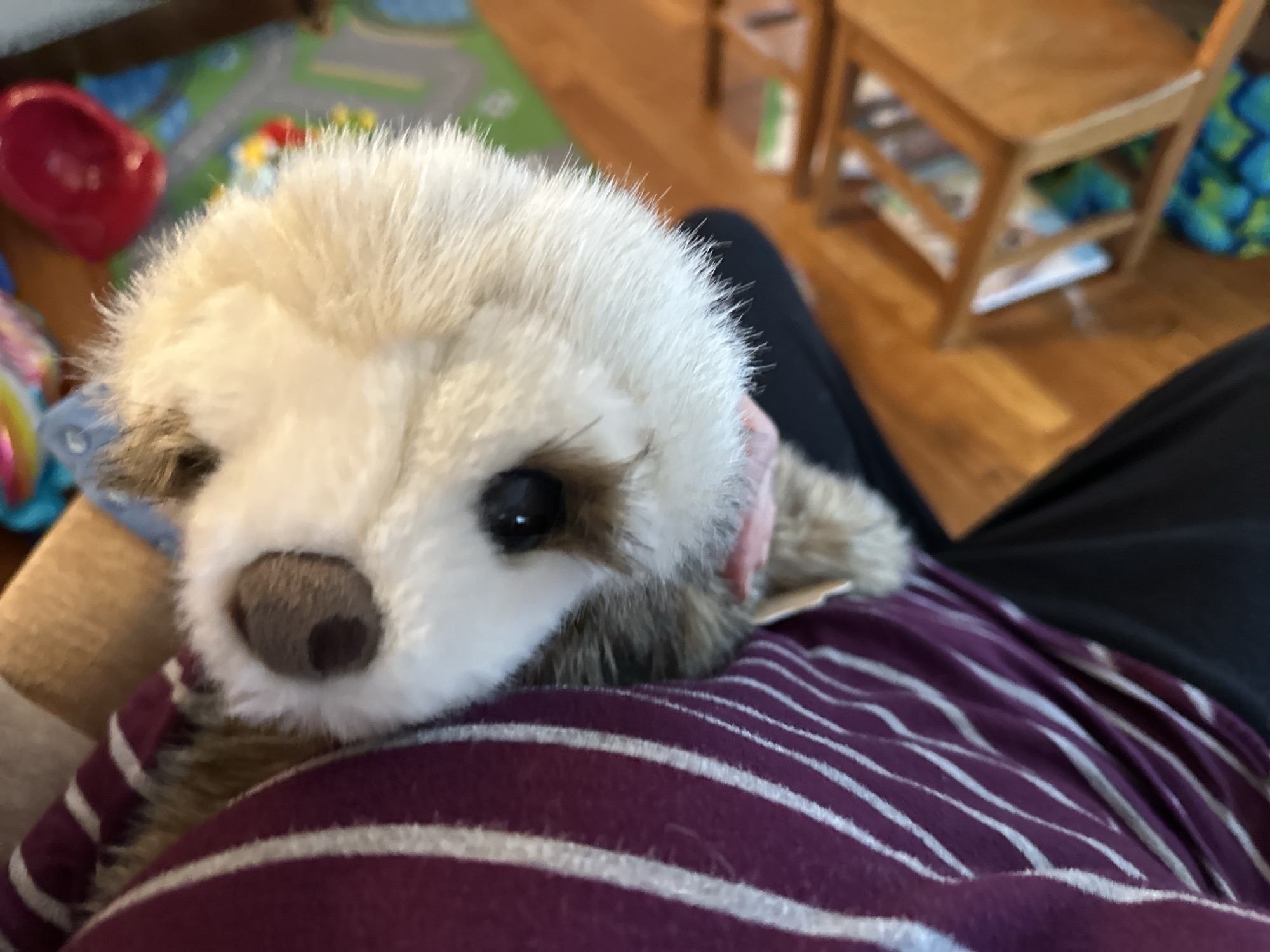 Joanne Sent Me a Baby Sloth. Puppet, that is ! – Ruth E. Hendricks